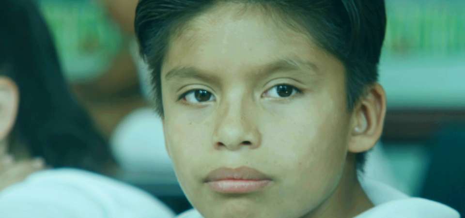 Homegrown: Works on Video Drama • New Zealand International Film Festival