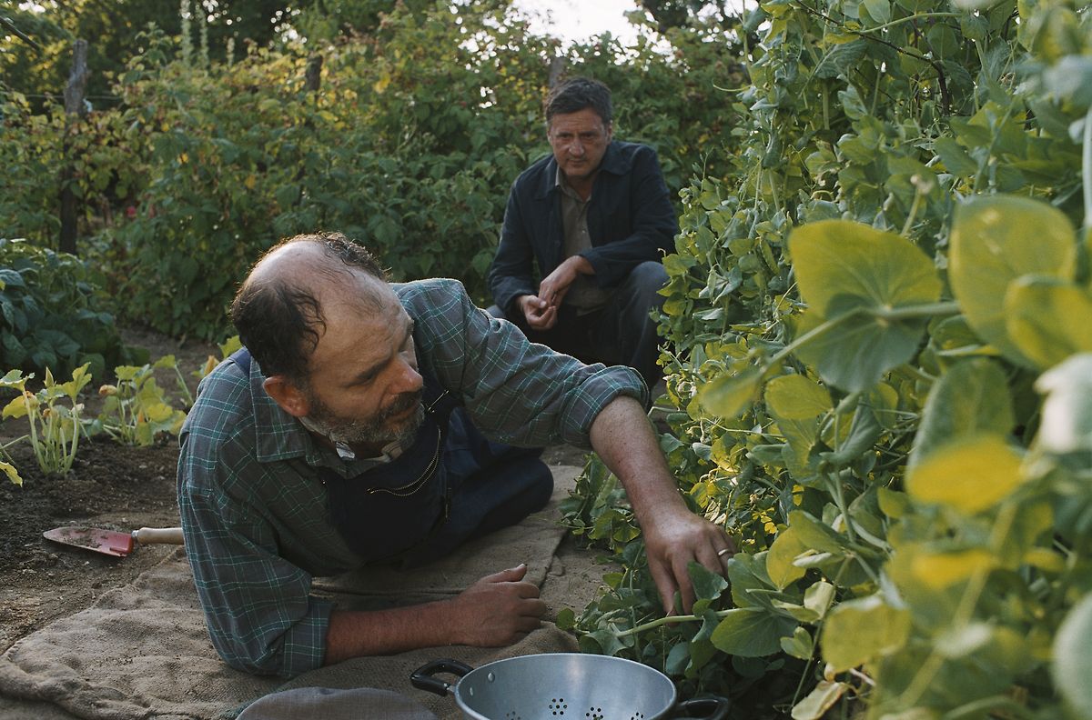 Conversations with My Gardener • New Zealand International Film Festival