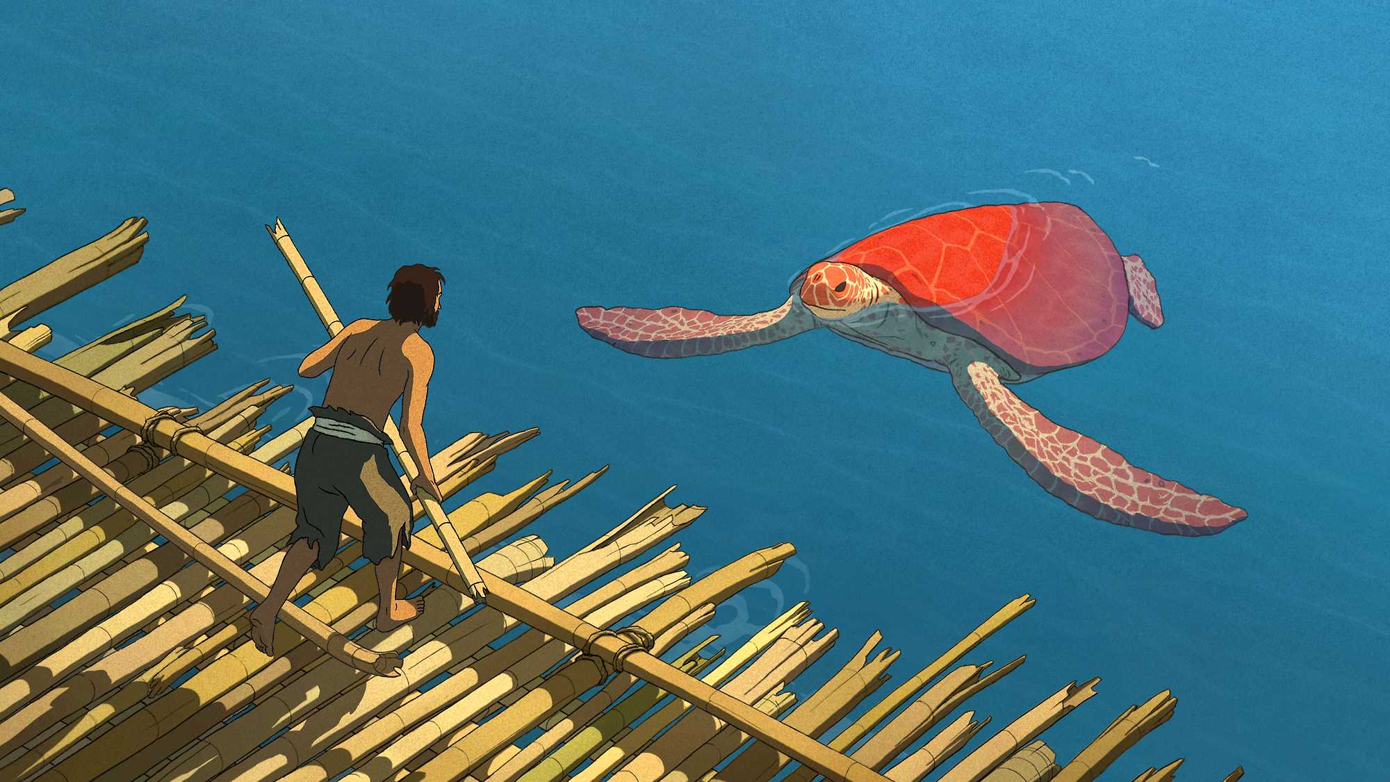 The Red Turtle • New Zealand International Film Festival