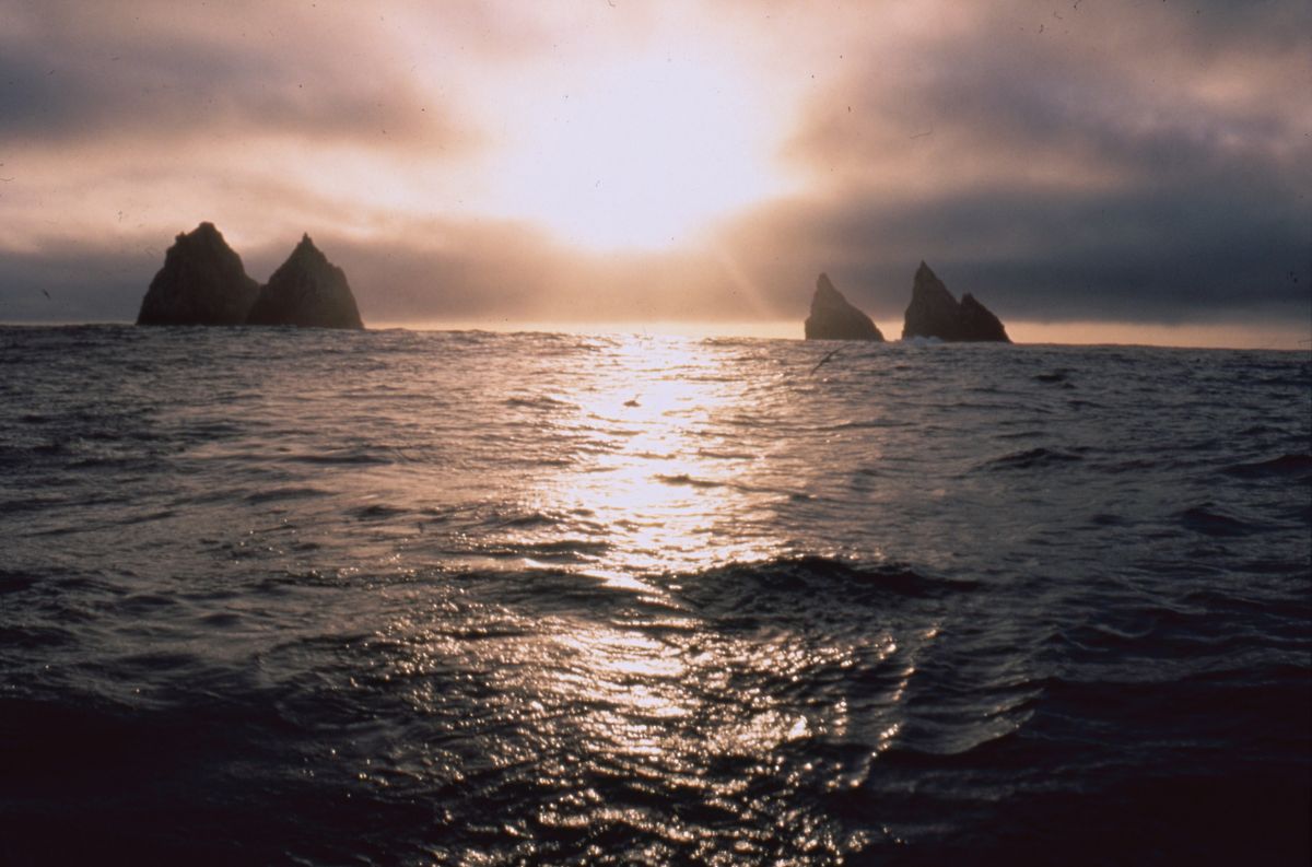 The Atlantic • New Zealand International Film Festival