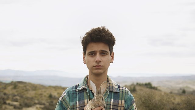 New Zealand’s Best 2018 • New Zealand International Film Festival