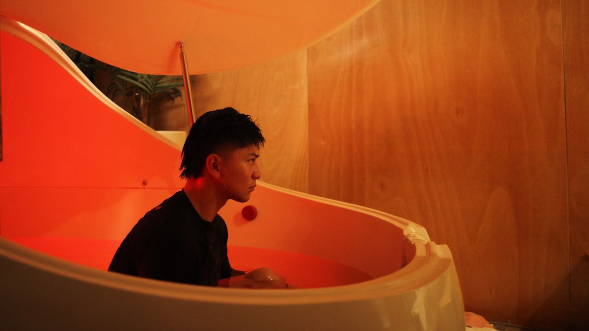 Cetology • New Zealand International Film Festival