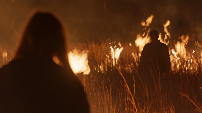 The Harvesters • New Zealand International Film Festival