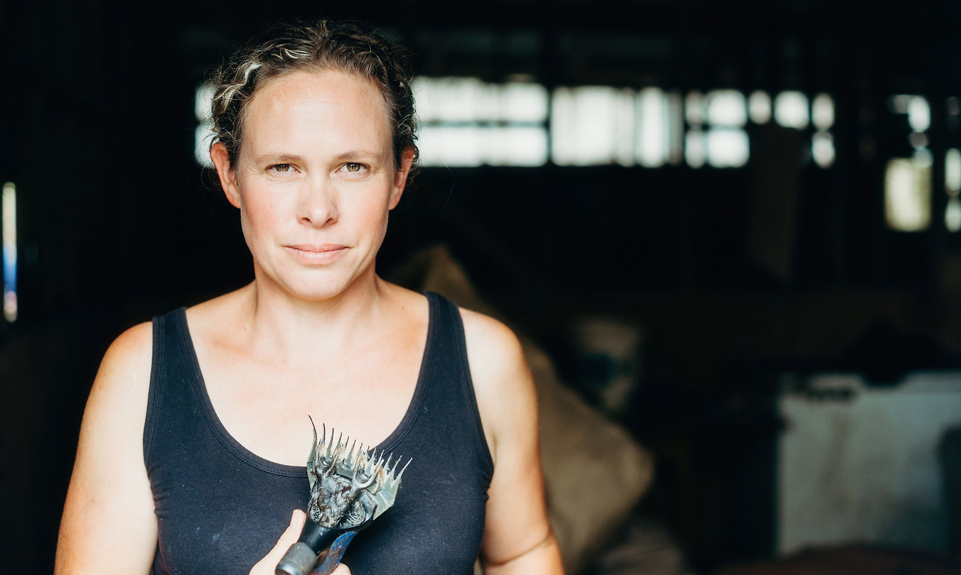 Celebrating More New Zealand Films • New Zealand International Film ...