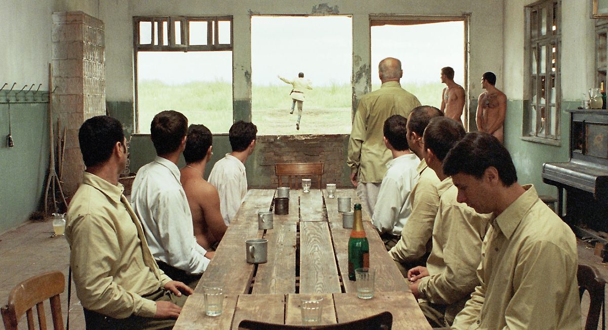 Tertium non datur • New Zealand International Film Festival