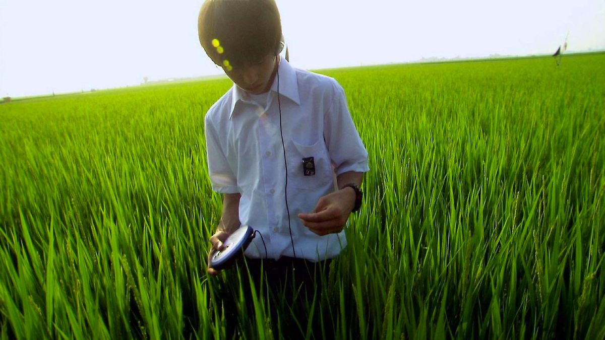 All About Lily Chou-Chou • New Zealand International Film Festival